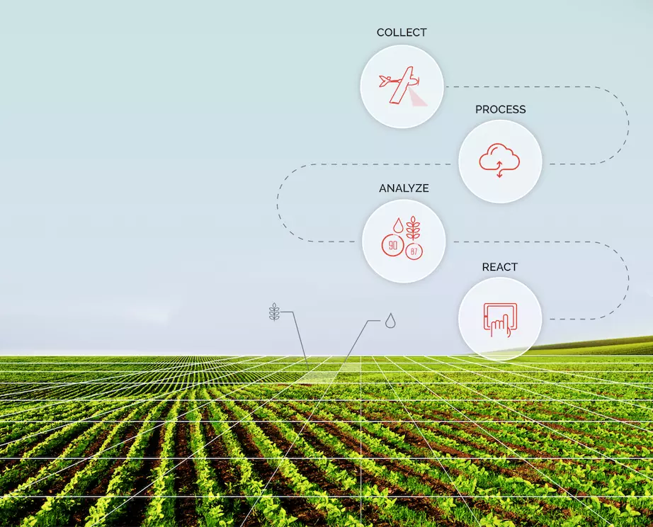 Piecas lomas, ko roboti spēlēs lauksaimniecības nākotnē