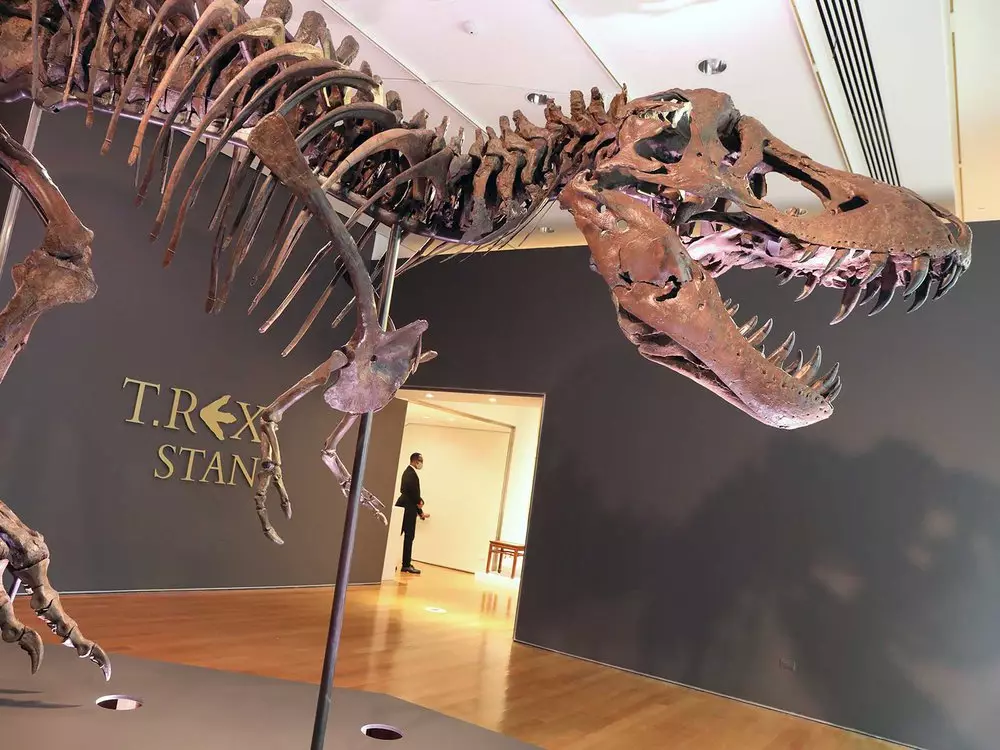 Yon T. Rex vann pou $31.8 milyon dola, ak Paleontologist yo enkyete
