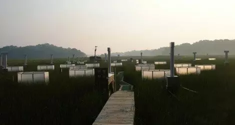 สิ่งอำนวยความสะดวก Smithsonian ใน Chesapeake Bay Preps for Hurricane Irene