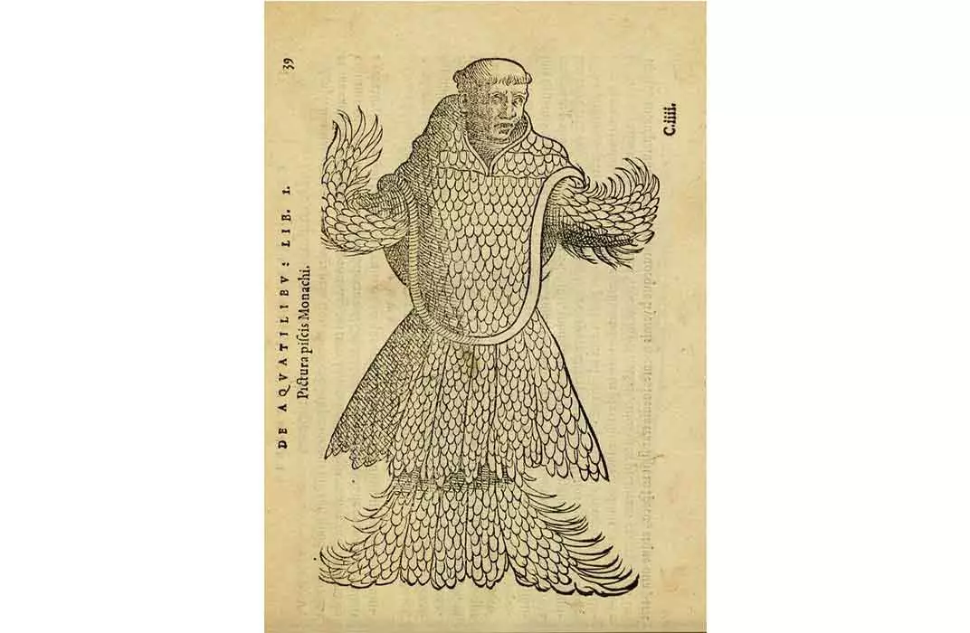 Eropa Renaisans Digegirisi dening Laporan Raksasa Laut Sing Kaya Biksu Nganggo Sisik Iwak 16295_2