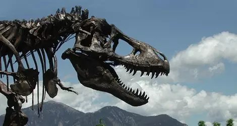 På grunn av nedleggelsen er ankomsten til Naturhistorisk museums T. Rex utsatt til våren
