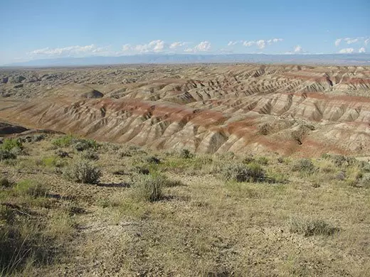 Despatx de paleontologia de Wyoming # 9: per què s'anomena 