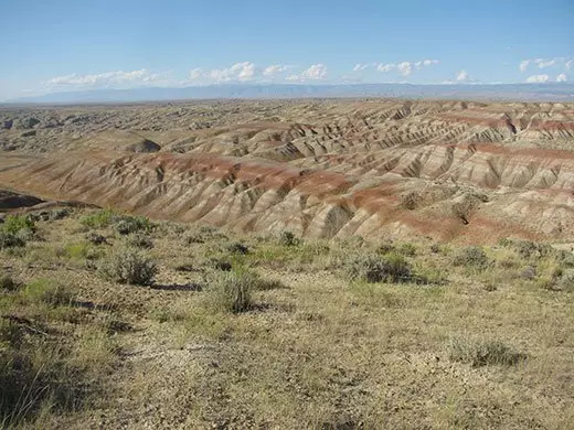 Wyoming Paleontology Dispatch #9: Ihe kpatara eji akpọ ya 