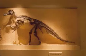"Dakota" hadrosaurus debutuje