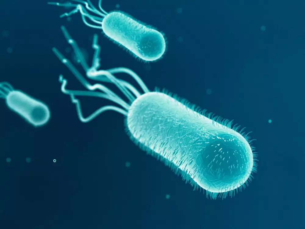 Wéi kleng, Mikroben-propelled Bots Medikamenter an eise Kierper liwwere kënnen