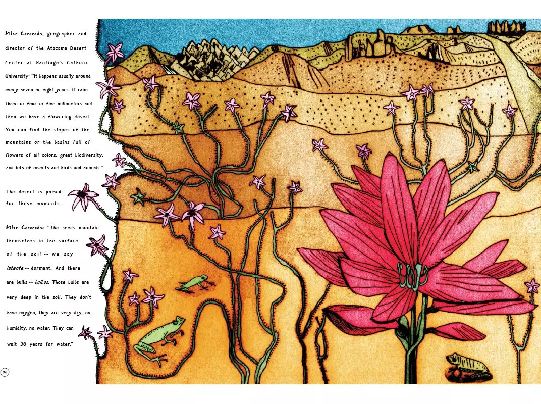 Kif ir-Riċevitur tal-Premju MacArthur Genius 2016 Lauren Redniss Qed Taħseb mill-ġdid Bijografija 16479_6