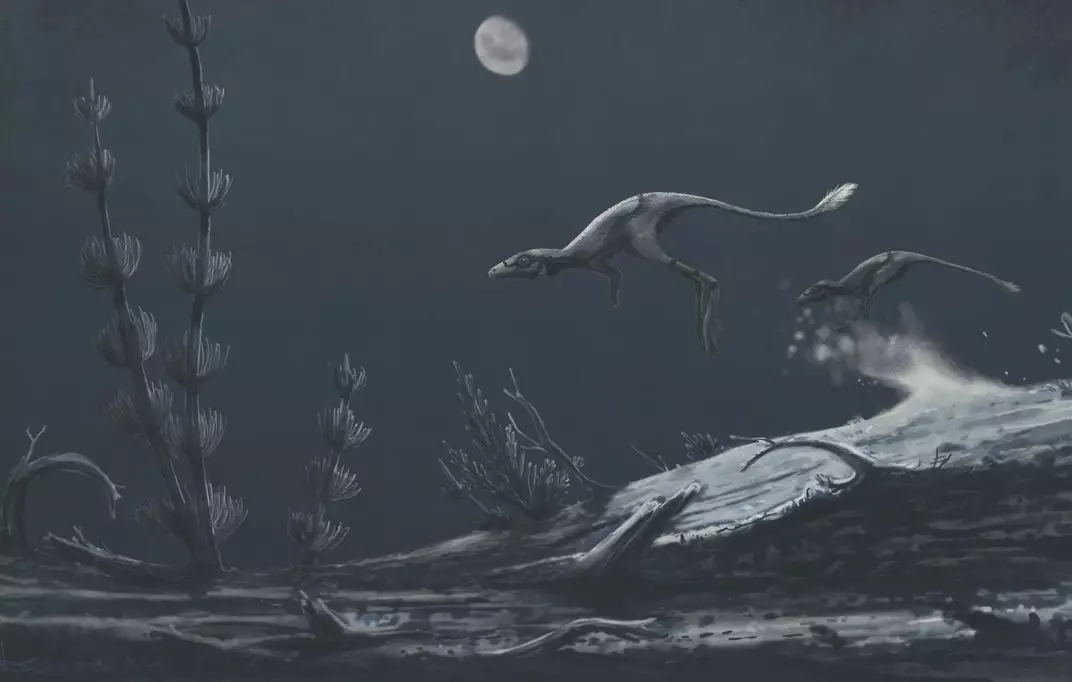 Üç Yeni Dinozavr Kitabı ilə Dino Ayını qeyd edin 16628_1