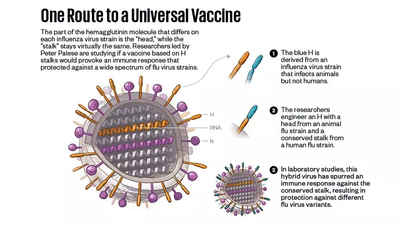 How to Stop a Lethal Virus 16671_2