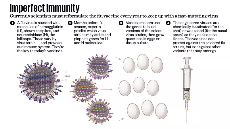 Kuinka pysäyttää tappava virus 16671_3