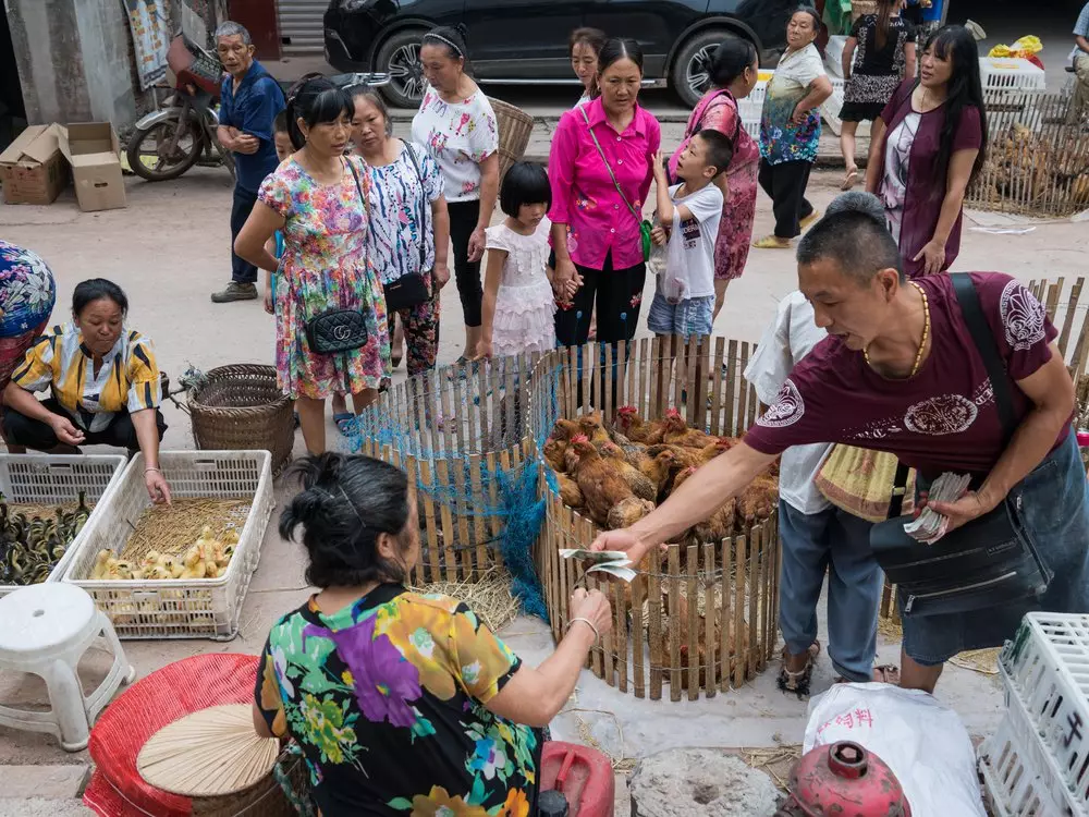 Is China Ground Zero for a Future Pandemic?