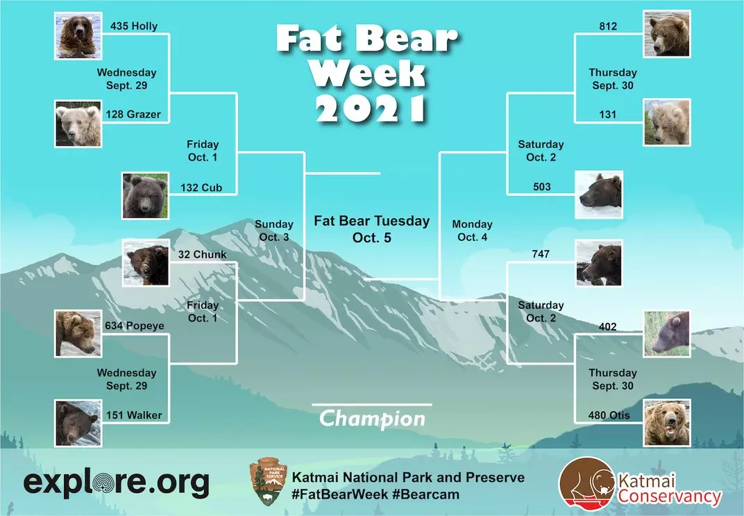 En illustration av den officiella Fat Bear Week 2021 Bracket