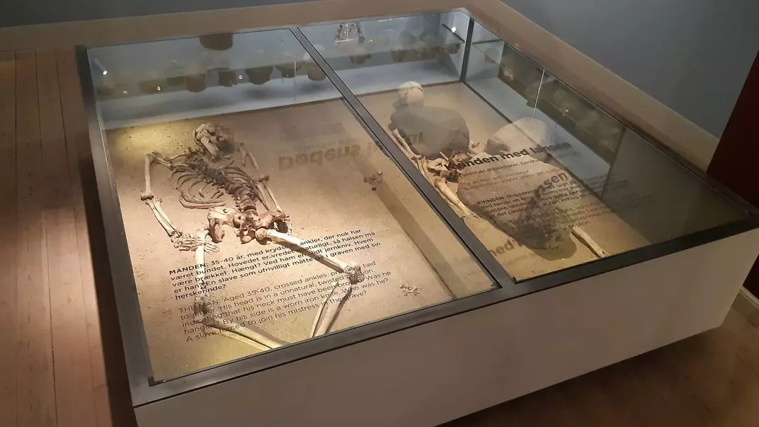 Kostry vystavené v muzeu Roskilde
