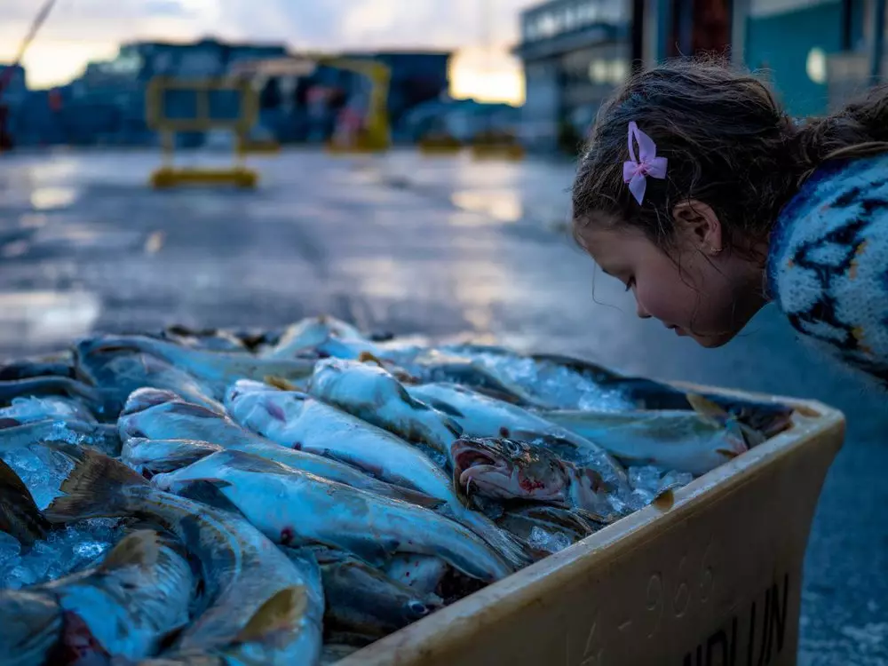 عکس دختری که بوی سطل ماهی را می دهد.