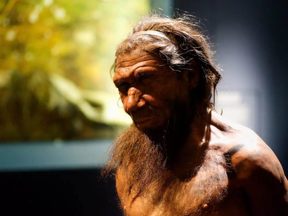 B'fhéidir gur Thabharfadh Neanderthals Géineacha Maith agus Droch-Ghalar dúinn