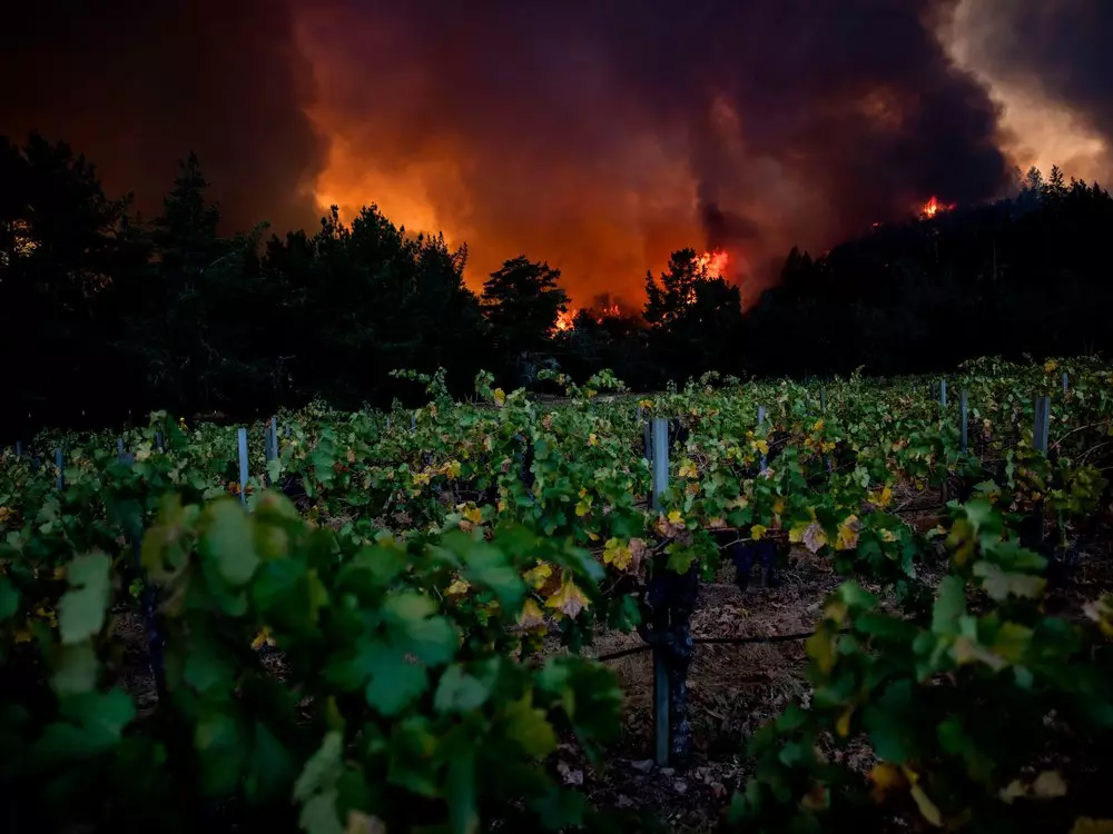 Das Glasfeuer brennt am 27. September 2020 hinter den Weinbergen von Merus Wines im kalifornischen Napa Valley