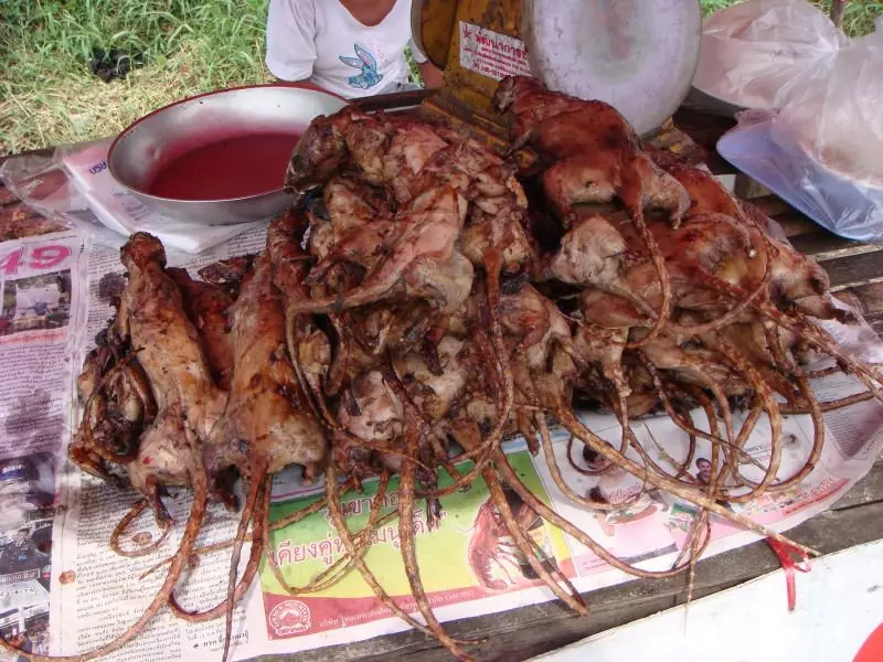 Penduduk Pulau Paskah Awal Makan Tikus—Banyak Tikus