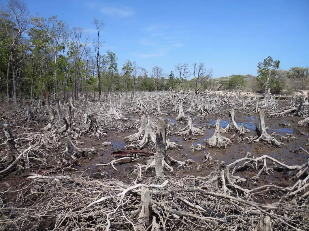 ecosysteem kan worden verwoest