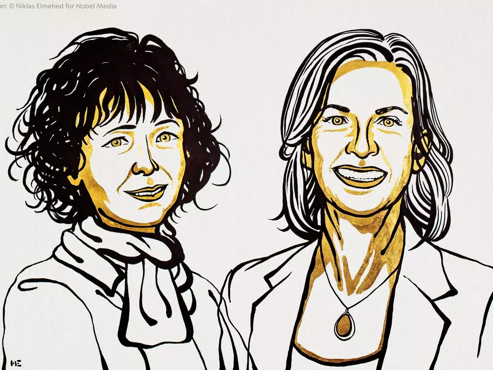 Um desenho de linha preto e amarelo dos dois laureados com o Nobel de química. Emmanuelle Charpentier está à esquerda e Jennifer Doudna está à direita.