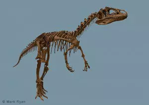 20110520083136big-al-allosaurus-laramie-300x212.jpg