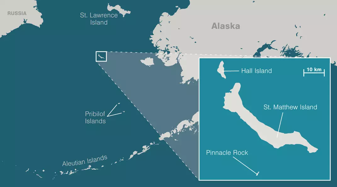האי באלסקה שבני אדם לא יכולים לכבוש
