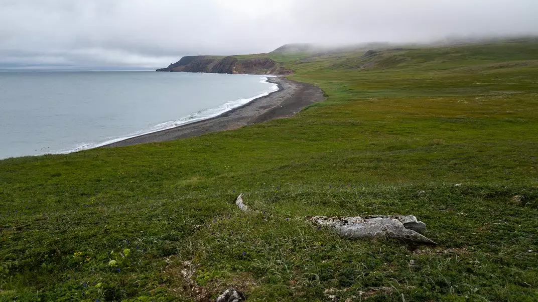 La isla de Alaska que los humanos no pueden conquistar