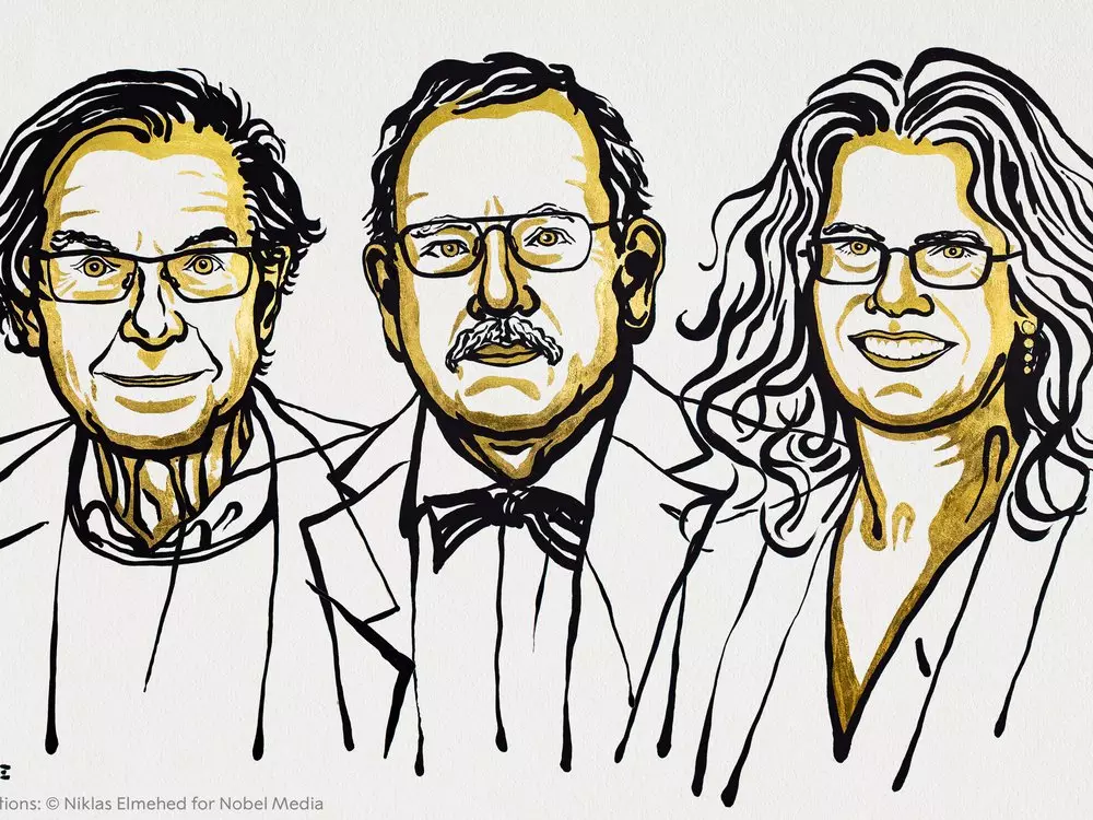 Черно-жълта рисунка на тримата Нобелови лауреати по физика. Роджър Пенроуз е отляво, Райнхард Гензел е в средата, а Андреа Гез е отдясно.