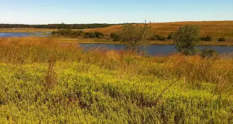 Mgbanwe nke ogige Freshkills Site na mkpofu ala gaa na mbara ala