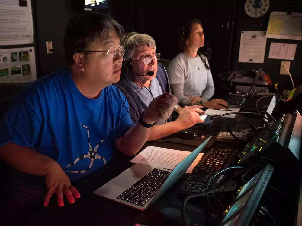 Pardateadus juhib Dr. Chris Mah ja Chris Kelley ning NOAA hariduspartnerlusprogrammi praktikant Nikola Rodriguez arutlevad ja vaatavad lähemalt süvaveeelupaiku, mida on uuritud kaugjuhitava sõidukiga Deep Discoverer Horizon Guyotil. (Pilt NOAA ookeaniuuringute ja -uuringute büroo loal, 2017 Laulima O Ka Moana)
