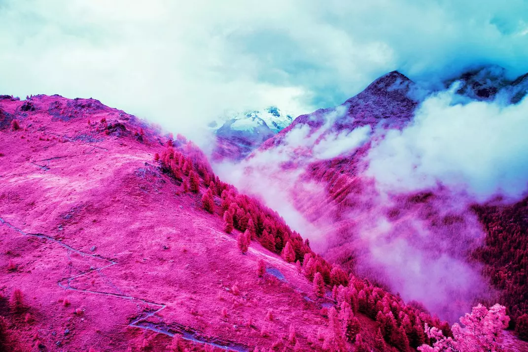 Att titta på naturen genom infraröd film kommer att få dig att se rött 17310_1