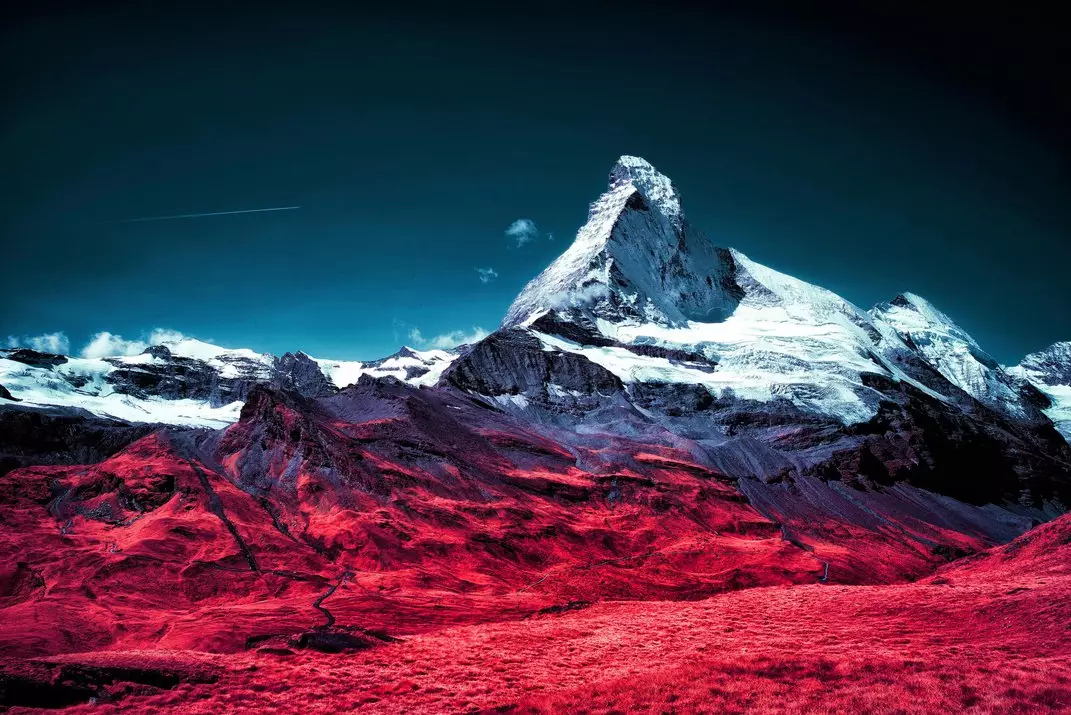 Att titta på naturen genom infraröd film kommer att få dig att se rött 17310_3