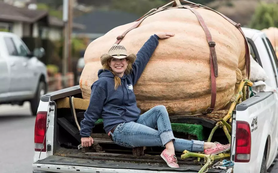 gigante-PUMPKIN1016.jpg