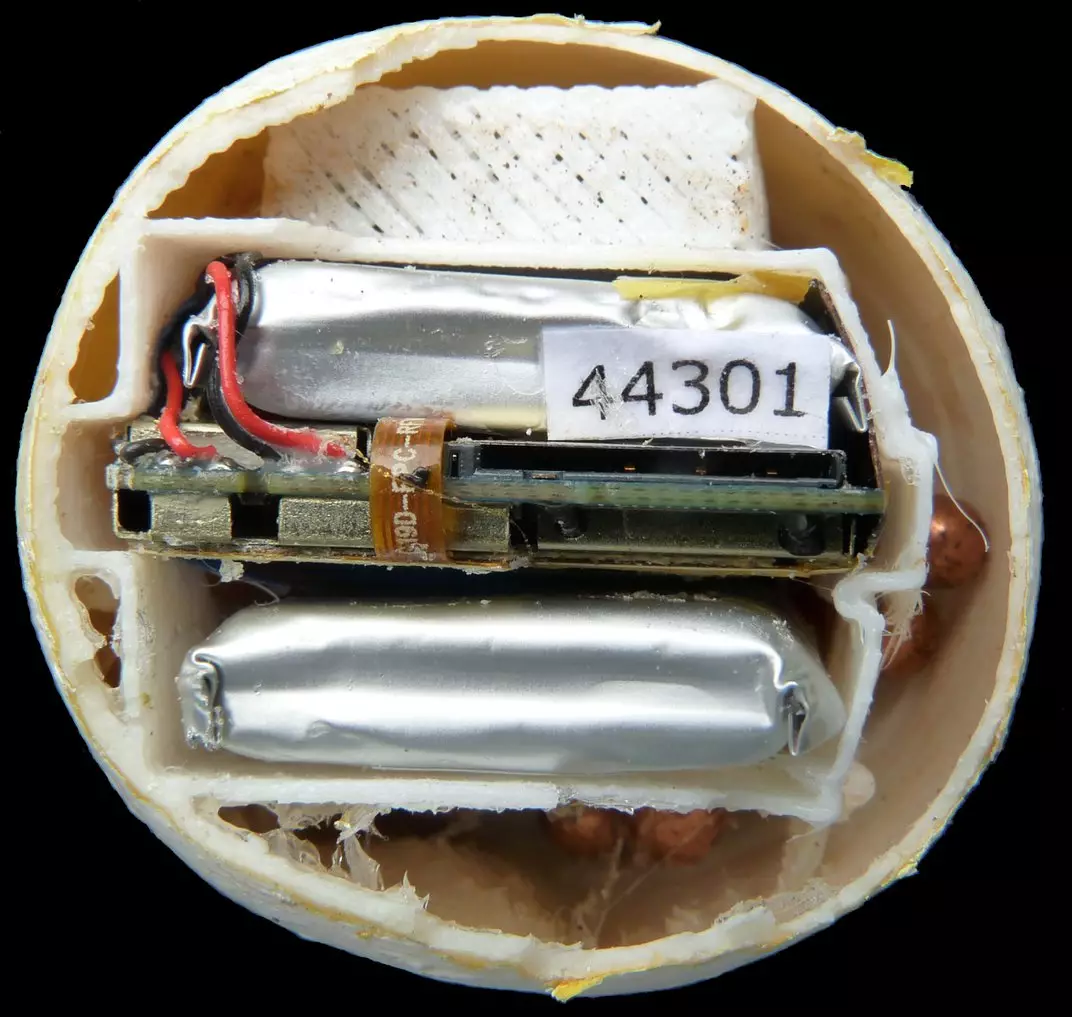 3-D പ്രിന്റ് ചെയ്ത InvestEGGator ട്രാക്കറുകളുടെ ഒരു ക്രോസ്-സെക്ഷൻ