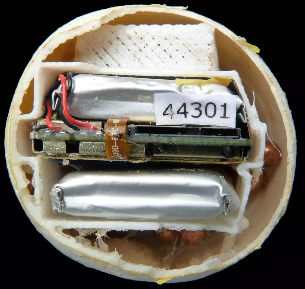 Usa ka cross-section sa 3-D nga giimprinta nga InvestEGGator tracker