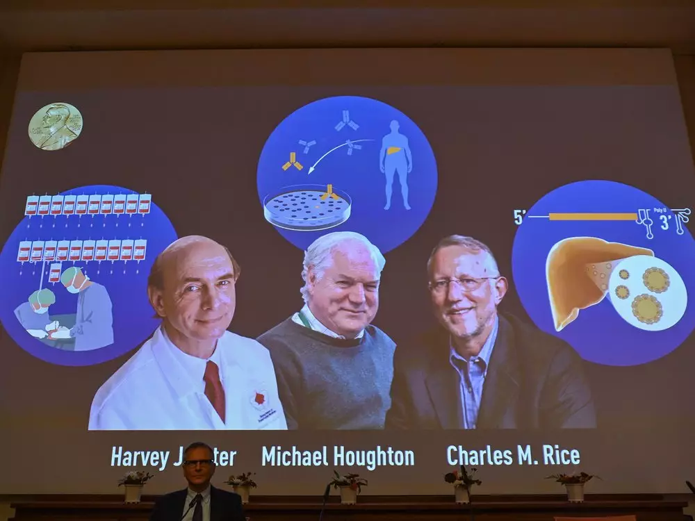 Nobelkomiteens medlem Patrik Ernfors sidder foran en skærm, der viser vinderne af 2020 Nobelprisen i fysiologi eller medicin, (L-R) amerikaneren Harvey Alter, briten Michael Houghton og amerikaneren Charles Rice, under en pressekonference