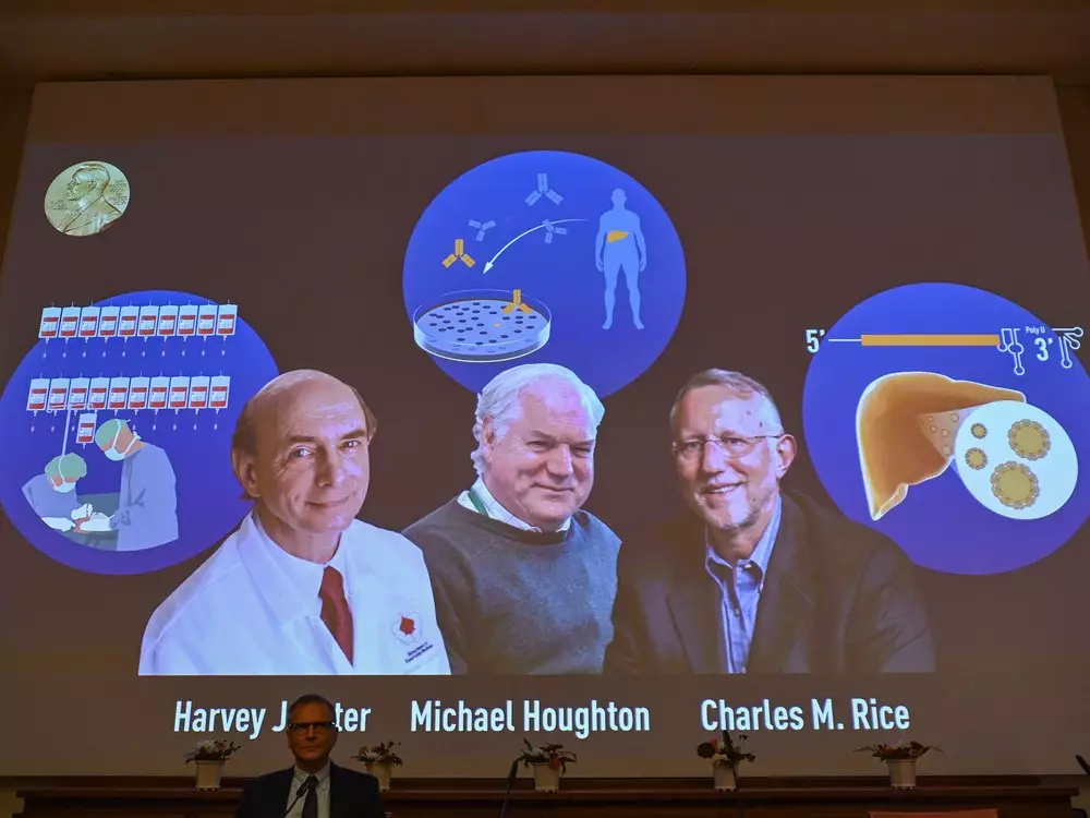 Membala wa Komiti ya Nobel Patrik Ernfors akukhala kutsogolo kwa skrini yowonetsa omwe adapambana Mphotho ya 2020 ya Nobel mu Physiology kapena Medicine, (L-R) American Harvey Alter, Briton Michael Houghton ndi American Charles Rice, pamsonkhano wa atolankhani.