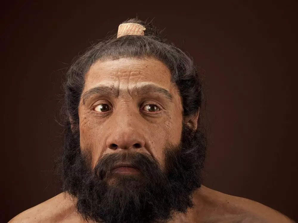 Wetenskaplikes het duisende voëls met hul kaal hande in Spaanse grotte gevang om Neanderdal-nagtejagmetodes te verstaan