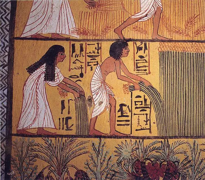 Egyptyske Harvest
