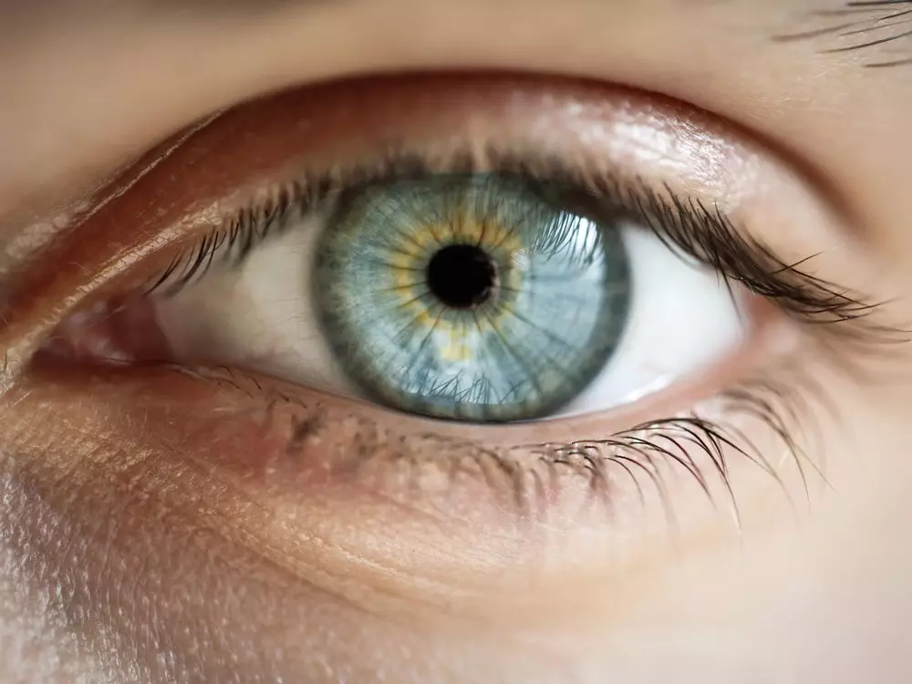 Может ли эта система бионического зрения помочь восстановить зрение?