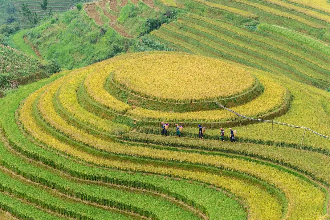 Mula sa Pagbabalat ng Niyog hanggang sa Pag-recycle ng Gulong, Nakuha ng Photographer na Ito ang Vietnam sa Trabaho 17645_11