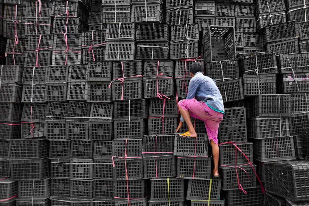 Dalla scuoiatura delle noci di cocco al riciclaggio dei pneumatici, questo fotografo cattura il Vietnam al lavoro 17645_4