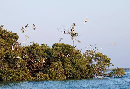 ഷുഗർലോഫ് കീ, ഫ്ലോറിഡ: കീപ്പിംഗ് ഗുഡ് കമ്പനി 17683_4