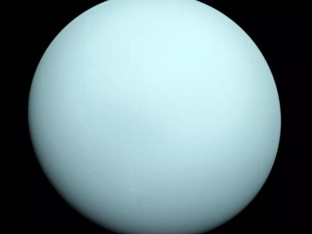 Urani