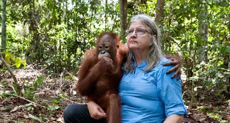 20110815094003imax-orangutan-born-to-wild.jpg