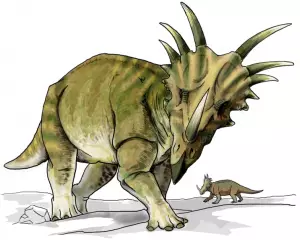 20110520083228Styracosaurus-restoration-300x240.jpg