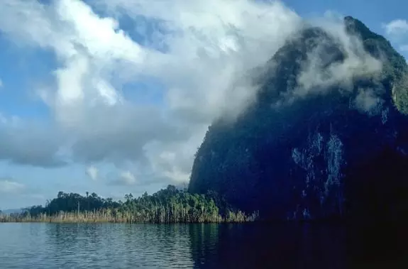 Водата потона делови од оваа тајландска шума, отсекувајќи еден дел од друг и создавајќи шумски острови.