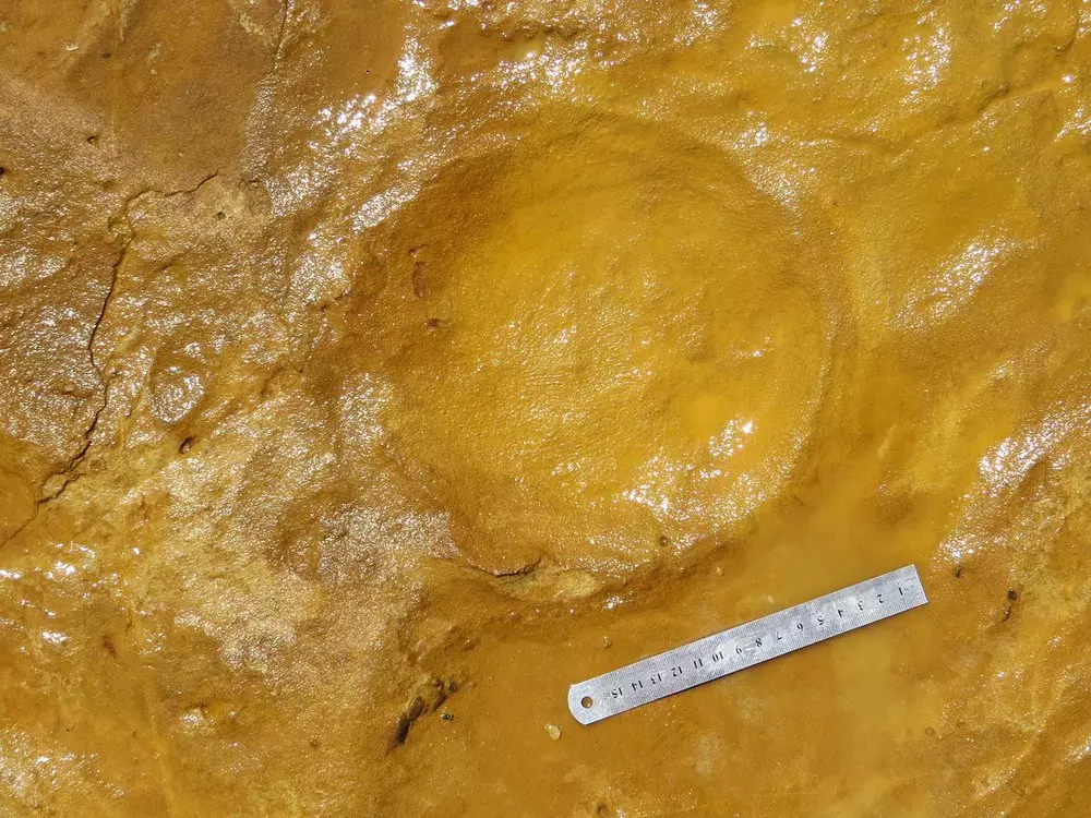 Footprints Fossilizzati Jikxfu Nursery tal-Iljunfanti Antika fi Spanja