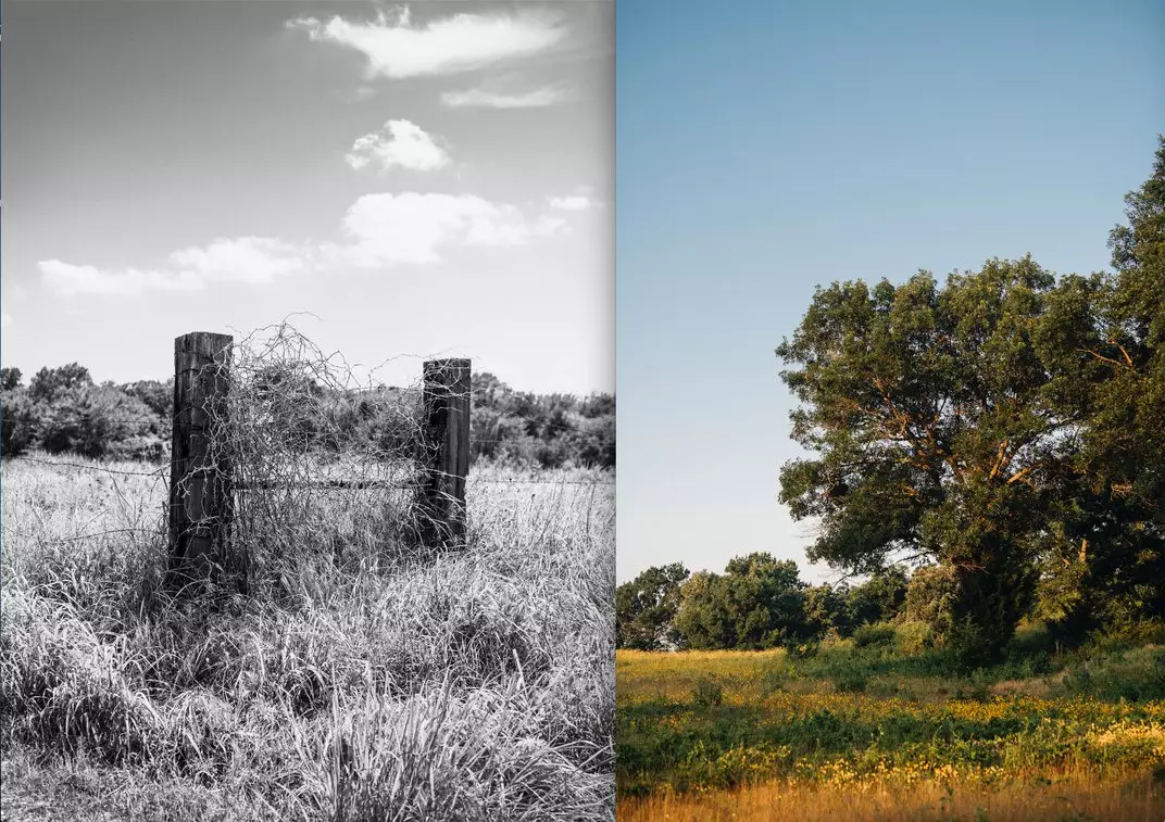 E_lânskippen yn Seminole County diptych