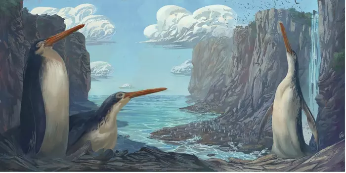 Ұзын, арық пингвиндер мұхит жағалауындағы биік жартасты жартастардың арасында жер шарын кезген кездегі суретшінің түсіндірмесі