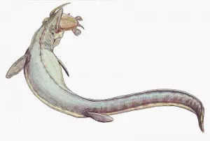 Alguns "dracs marins" extingits van estar calents