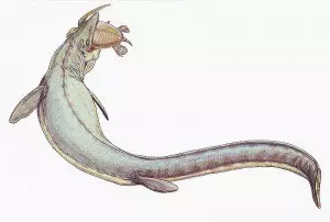 20110520083227Mosasaurus-Restoration-300x202.jpg